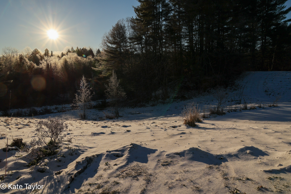 February in Vermont – The Nature of Things